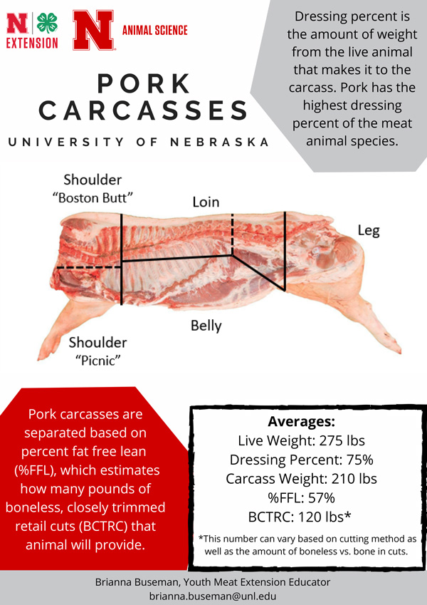 Calculating Pork Retail Cuts | The Meat Locker