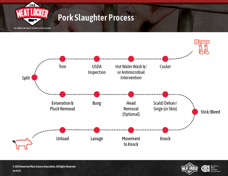 Pork Slaughter Process Flow | The Meat Locker